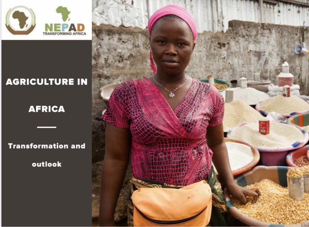 Sustain-Earth.Com – Building and Achieving Sustainability in Africa ...